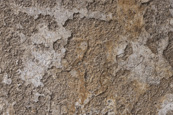 PermaTrak – BONIFOTO