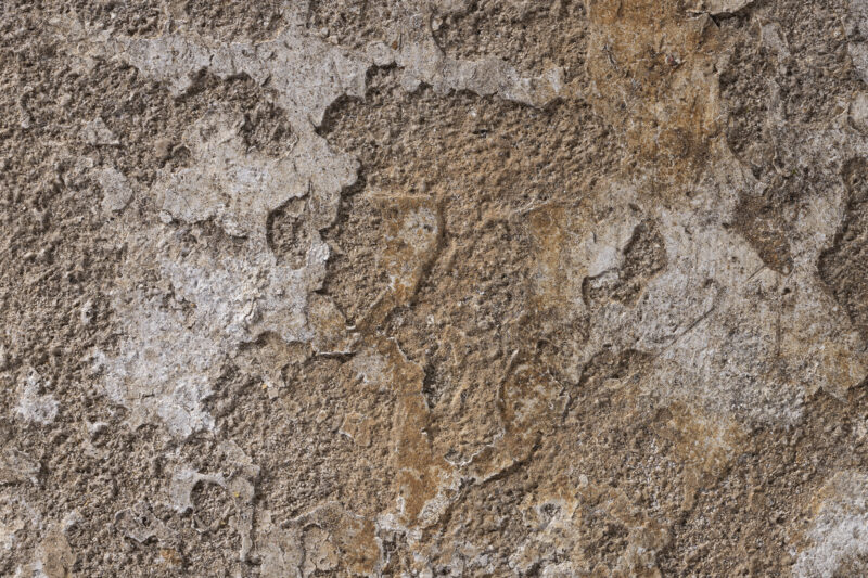 PermaTrak – BONIFOTO